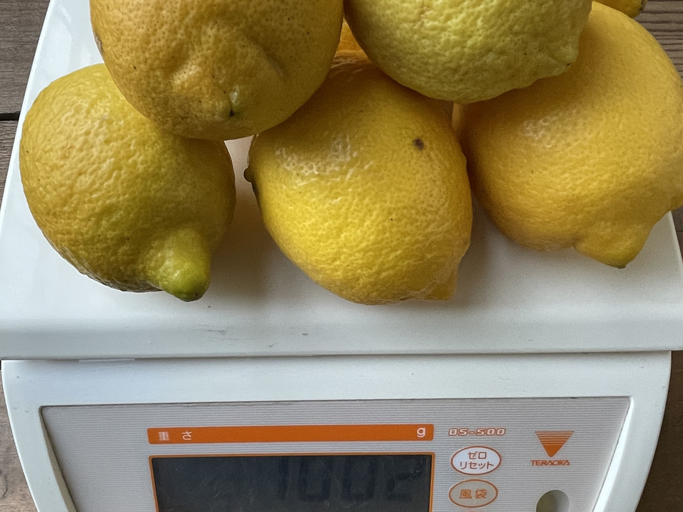 〔無等級良品〕訳アリ特価！！完熟・果汁たっぷり！『ATAMI de LEMON®』4Kg -爽やか芳醇- 品種お任せ：静岡県産のみかん・柑橘類 ...