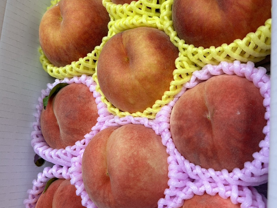 お買い得!まるせい果樹園の桃 黄桃と晩生種の詰め合わせ【おまかせ】2kg(6～11玉入り)自家用 贈答用 mix2：福島県産の白桃｜食べチョク｜産地直送(産直)お取り寄せ通販 - 農家・漁師 ...