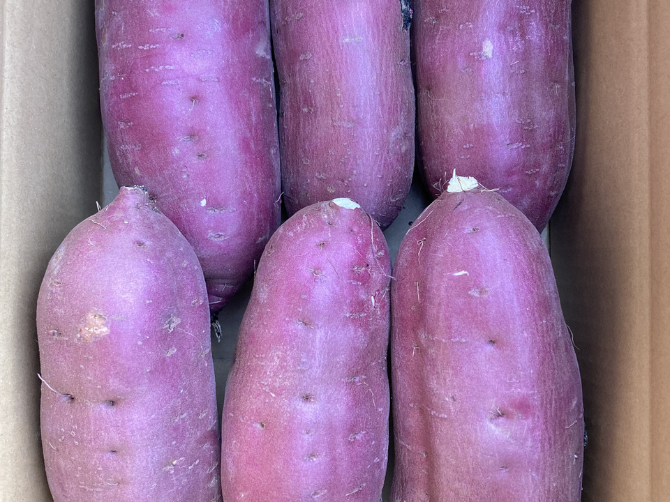 【BIGサイズ】熟成べにはるか 2L・3Lサイズ 10kg：茨城県産のべにはるか｜食べチョク｜産地直送(産直)お取り寄せ通販 - 農家・漁師から旬の食材を直送