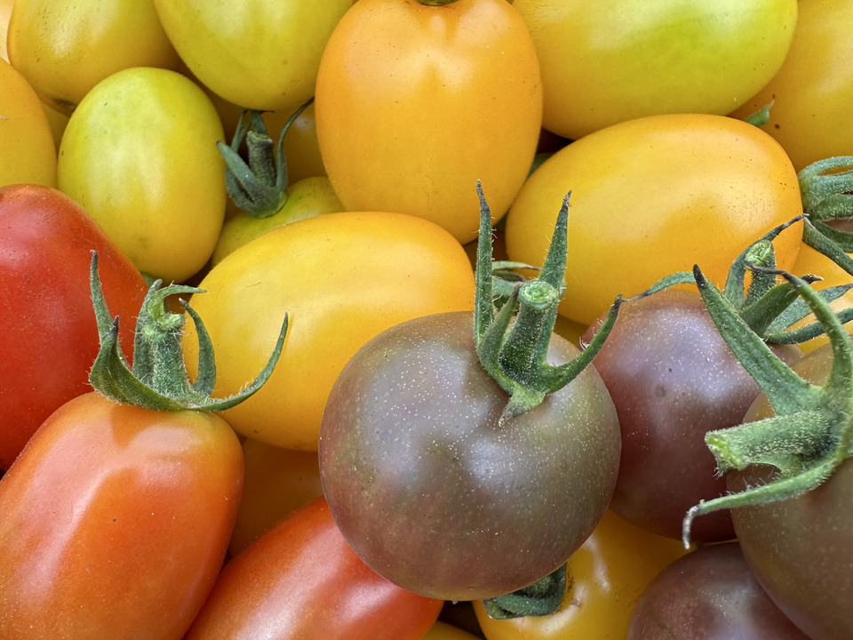 【箱いっぱいにお届け！】農薬化学肥料不使用キラピカ旬野菜BOX7〜8品品農の島＊大三島＊よりお届け！：愛媛県産の野菜セット｜食べチョク｜産地直送(産直)お取り寄せ通販 - 農家・漁師から旬の食材を直送