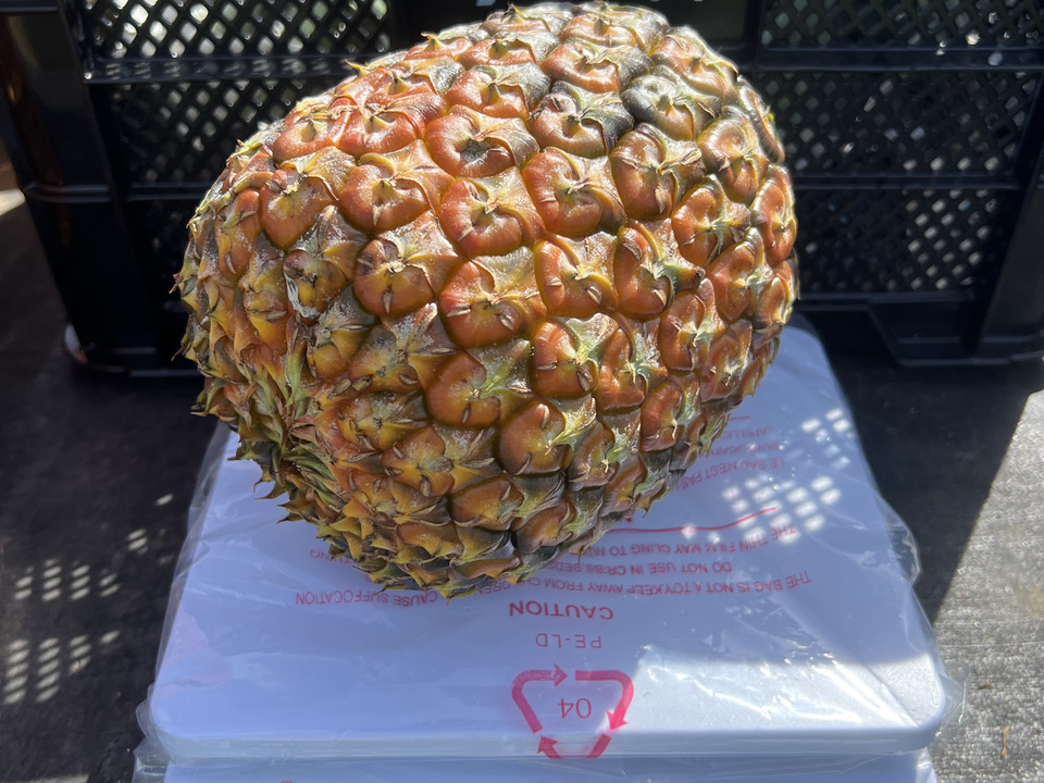 【規格外】【まずはお試し！！】完熟パイナップル訳あり詰合せ3kg(1〜4玉)：沖縄県産のホワイトココ｜食べチョク｜産地直送(産直)お取り寄せ通販 - 農家・漁師から旬の食材を直送