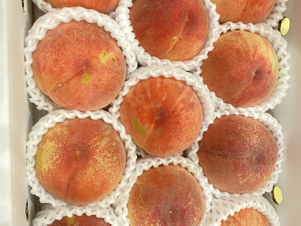 桃名人厳選 桃【ご家庭用 訳あり商品】白桃3kg(8-12玉）：福島県産のあかつき｜食べチョク｜産地直送(産直)お取り寄せ通販 - 農家・漁師から旬の食材を直送