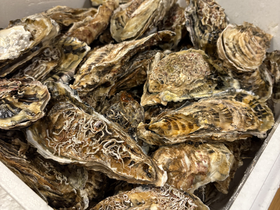 バラ牡蠣 生食可 7kg （45～60個くらい）：北海道産の牡蠣｜食べチョク｜産地直送(産直)お取り寄せ通販 - 農家・漁師から旬の食材を直送