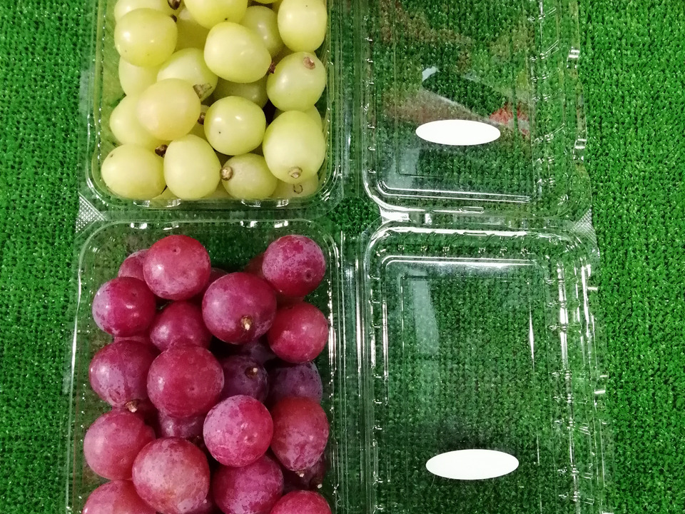 🟥🟩 🉐訳アリご家庭用🉐 🟩🟥🌿人気2種の粒詰め合わせパックB🌿シャインマスカット&クイーンニーナ【各500g位1P ／ 計約1,000g】 🟨10/22、23発送分にて販売終了🟨：茨城県産の ...