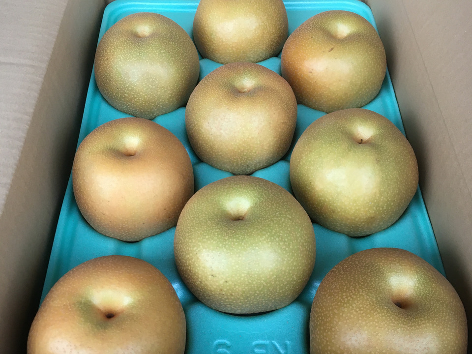 ぜひ一度！！【贈答用】大玉 豊水 5kg 6〜12玉：栃木県産の豊水｜食べチョク｜産地直送(産直)お取り寄せ通販 - 農家・漁師から旬の食材を直送