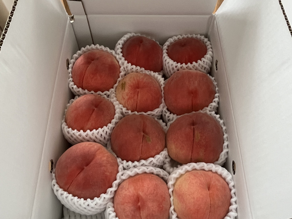桃名人厳選 桃【ご家庭用 訳あり商品】白桃約3kg(8-12玉）：福島県産のはつひめ｜食べチョク｜産地直送(産直)お取り寄せ通販 - 農家・漁師から旬の食材を直送