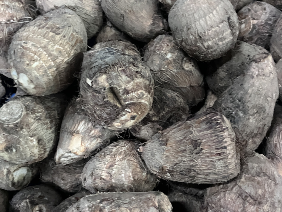 【訳あり】【新潟県特別栽培認証】五泉産 大玉さといも3kg(2L以上）：新潟県産のその他里芋｜食べチョク｜産地直送(産直)お取り寄せ通販 - 農家・漁師から旬の食材を直送