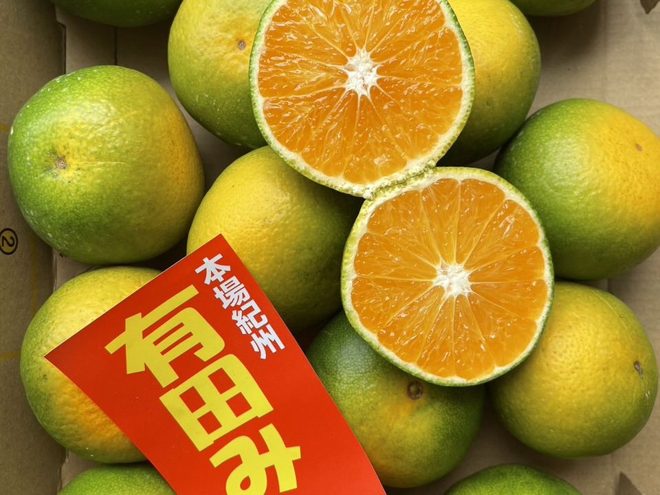 【予約受付開始】2025年みかんシーズン到来！希少品種「YN26」の極早生みかん約3kg：和歌山県産のみかん・柑橘類｜食べチョク｜産地直送(産直)お取り寄せ通販 - 農家・漁師から旬の食材を直送