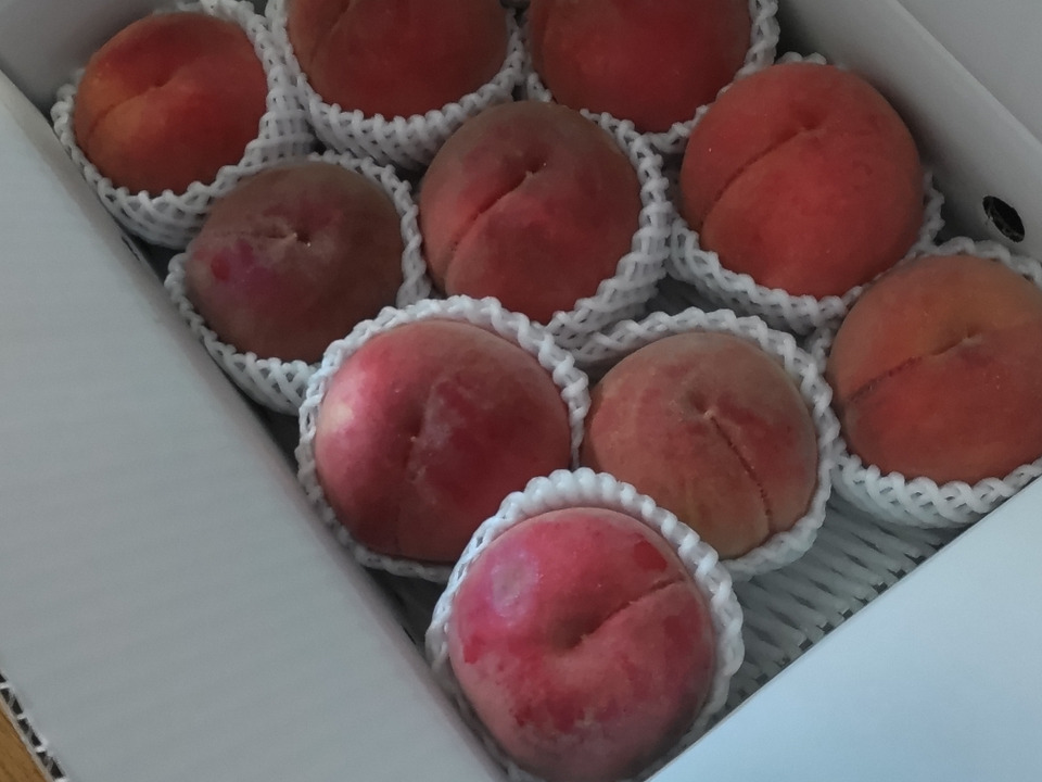 桃名人厳選 桃【ご家庭用 訳あり商品】白桃3kg(8-12玉）：福島県産のあかつき｜食べチョク｜産地直送(産直)お取り寄せ通販 - 農家・漁師から旬の食材を直送