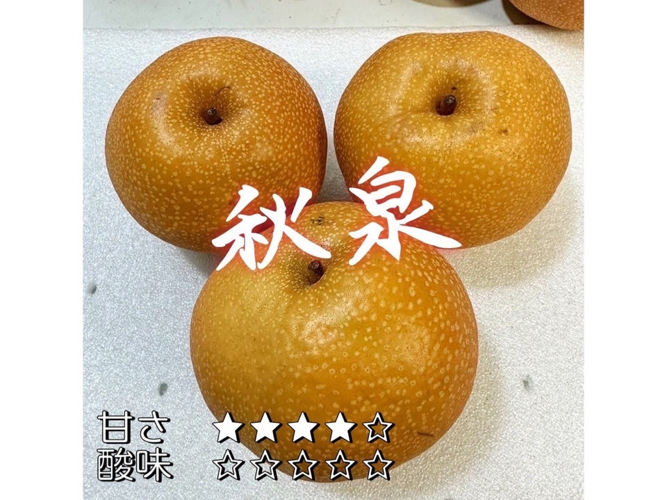 梨の最北 秋田県の秋泉 大粒 訳あり3kg(5～8玉) 写真イメージ：秋田県産の秋泉｜食べチョク｜産地直送(産直)お取り寄せ通販 - 農家・漁師から旬の食材を直送