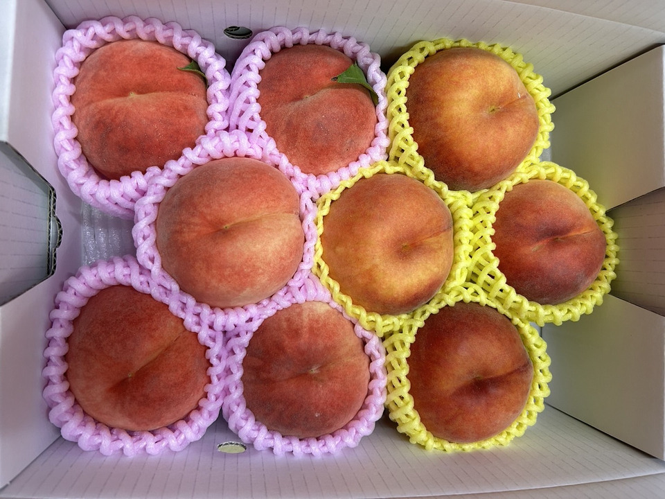 お買い得!まるせい果樹園の桃 黄桃と晩生種の詰め合わせ【おまかせ】2kg(6～11玉入り)自家用 贈答用 mix2：福島県産の白桃｜食べチョク｜産地直送(産直)お取り寄せ通販 - 農家・漁師 ...