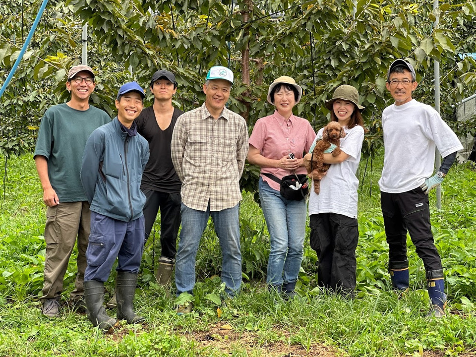 【先行予約】大玉で高糖度！さくらんぼ 2～3L バラ 約700g：山梨県産の佐藤錦｜食べチョク｜産地直送(産直)お取り寄せ通販 - 農家・漁師から旬の食材を直送
