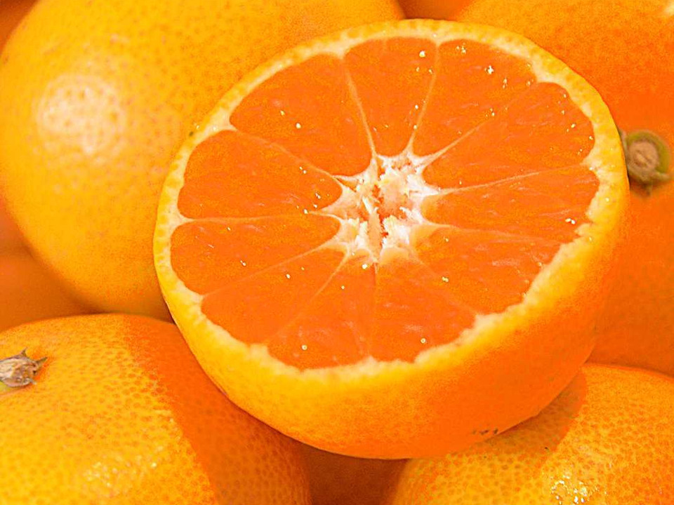 訳あり 有田みかん5kg (2S～3L) やまきずくん 和歌山：和歌山県産のみかん・柑橘類｜食べチョク｜産地直送(産直)お取り寄せ通販 - 農家・漁師から旬の食材を直送