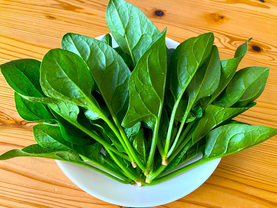 【有機JAS認証】ほうれん草 900g(150g×6パック)：佐賀県産のその他ほうれん草｜食べチョク｜産地直送(産直)お取り寄せ通販 - 農家・漁師から旬の食材を直送