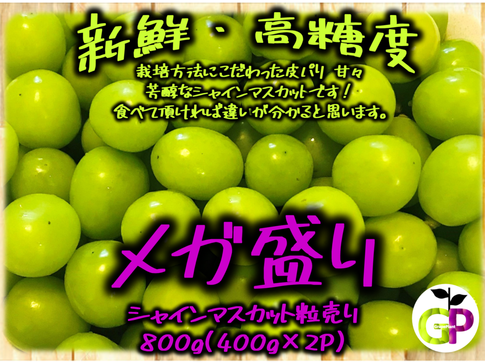 皮パリ甘々‼️ シャインマスカット粒売り『メガ盛り』800g(400g×2P) 朝採り新鮮！！：岐阜県産のシャインマスカット｜食べチョク｜産地直送(産直)お取り寄せ通販 - 農家・漁師から旬の ...