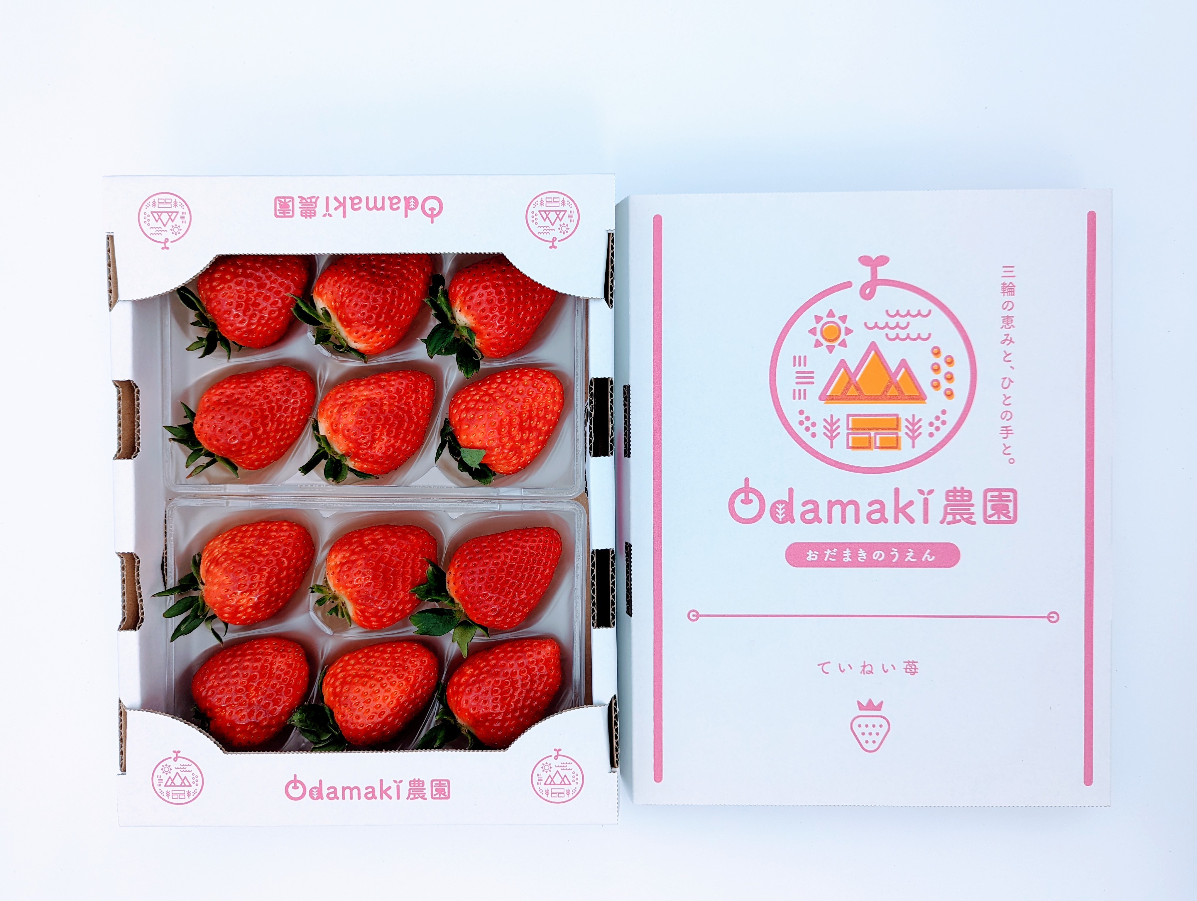 奈良ブランドいちご大粒!『古都華』特別栽培農産物 2パック1箱 朝採り完熟!農薬削減栽培!「いちご博2024」金賞受賞:奈良県の投稿|食べチョク|産地直送産直お取り寄せ通販 農家・漁師