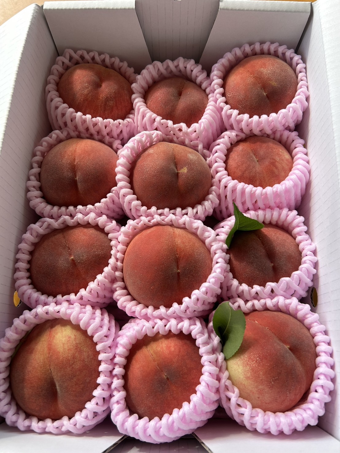 桃 日川白鳳 小玉 ちびっ子 1.8kg自家用 (11～15玉入り) 商品番号 chibi：福島県の投稿｜食べチョク｜産地直送(産直)お取り寄せ通販 - 農家・漁師から旬の食材を直送