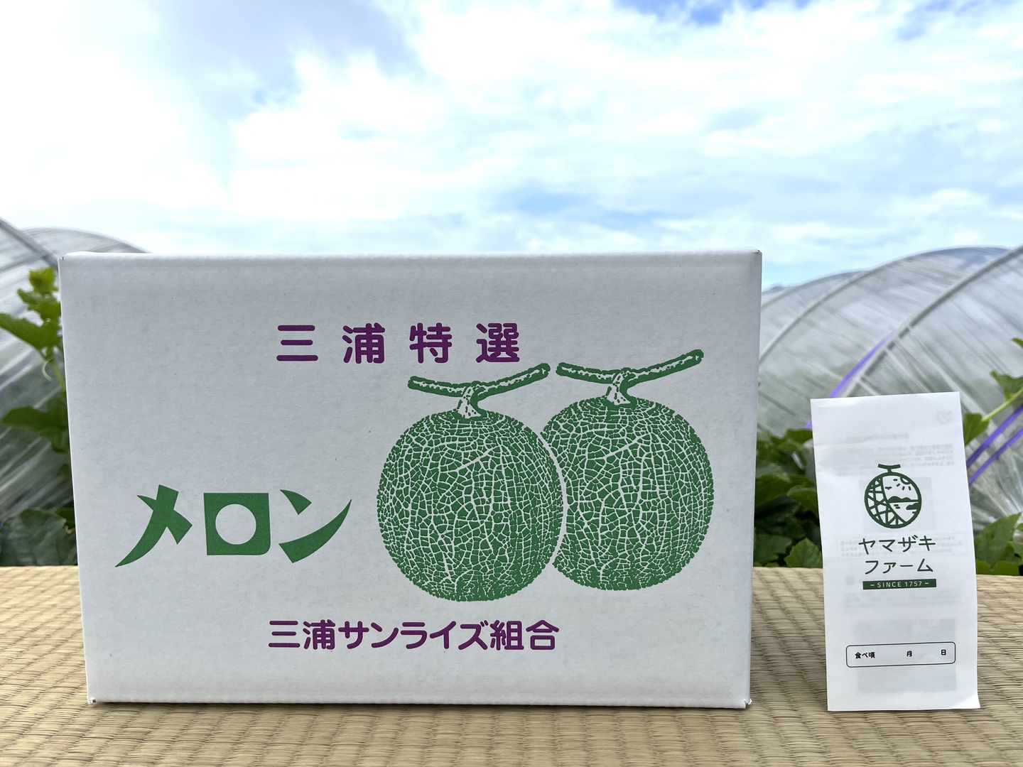 【夏ギフト】＊完熟収穫＊ 満月メロン『キミカ』 2個入：神奈川県産の黄美香｜食べチョク｜産地直送(産直)お取り寄せ通販 - 農家・漁師から旬の食材を直送