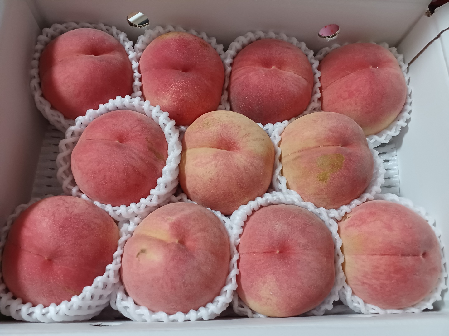 桃名人厳選 桃【ご家庭用 訳あり商品】白桃約3kg(8-12玉）：福島県産のはつひめ｜食べチョク｜産地直送(産直)お取り寄せ通販 - 農家・漁師から旬の食材を直送