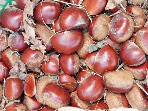 【自然栽培】3L～2Lサイズ！！ 大人気の丹波 栗1kg ：静岡県産の丹波栗｜食べチョク｜産地直送(産直)お取り寄せ通販 - 農家・漁師から旬の食材を直送