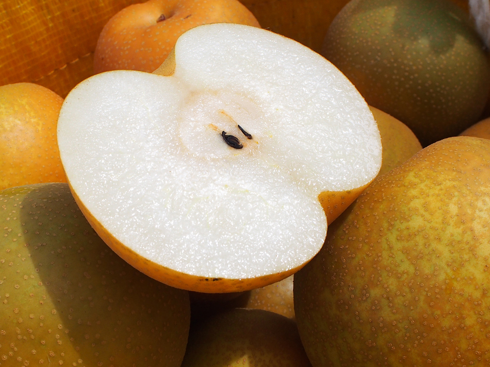 【農薬節減】もぎたて!! 梨 訳あり「幸水」5kg(10〜16玉) ご自宅用に!! 5キロ：宮城県産の幸水｜食べチョク｜産地直送(産直)お取り寄せ通販 - 農家・漁師から旬の食材を直送