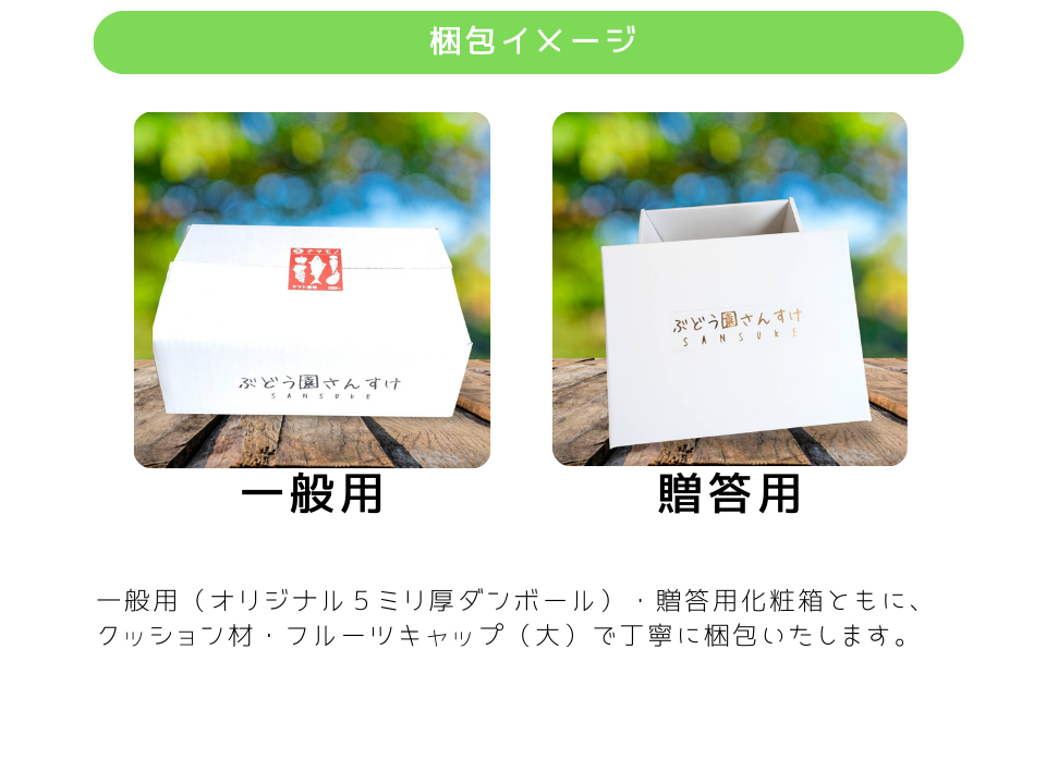 完売御礼 【家庭用】ナガノパープル 2kg/3~4房：長野県産のナガノパープル｜食べチョク｜産地直送(産直)お取り寄せ通販 - 農家・漁師から旬の食材を直送