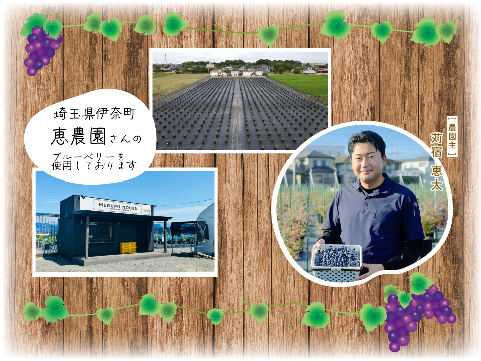 【国産100%】ブルーベリー和紅茶／2g×8 ティーバッグ 松田製茶 フルーツティー コレクション 埼玉県産 ブルーベリー使用 TBG-046：茨城県産の加工品｜食べチョク｜産地直送(産直)お ...