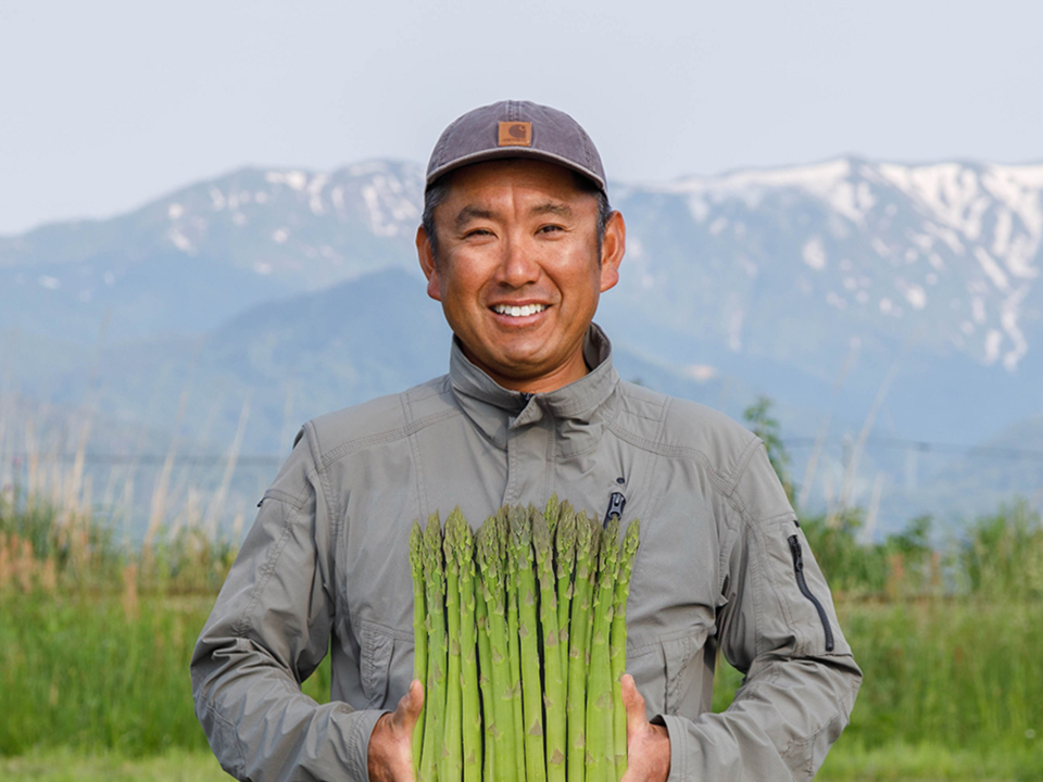 【お試し！】朝採り！甘み濃縮！長井市の春アスパラ2Lサイズ×700g（2024年産）：山形県産のその他アスパラガス｜食べチョク｜産地直送(産直)お取り寄せ通販 - 農家・漁師から旬の食材を直送