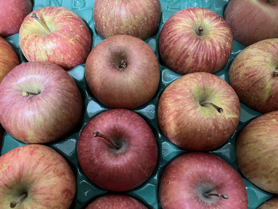 【数量限定・小玉】青森県産りんご「サンふじ」家庭用 キズ有 約10kg(5kg×2箱)【美味・光センサー選果済】：青森県産のふじ｜食べチョク ...