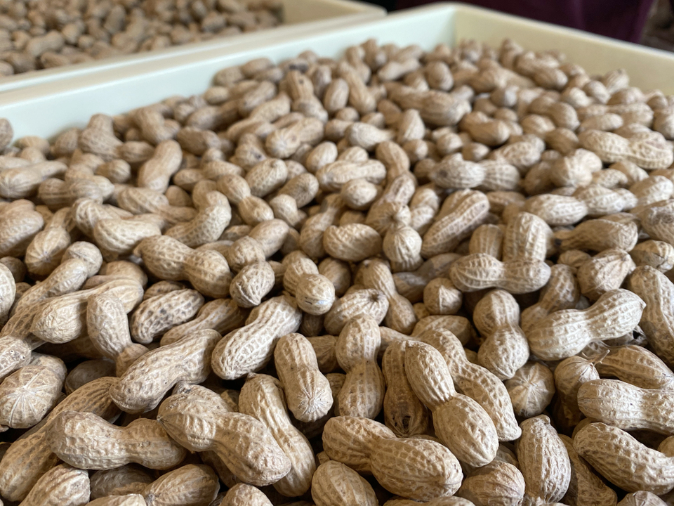 【在庫限り 次は11月です】あんばい農園の自然栽培 煎り落花生 75g×3個：千葉県産のその他落花生・ピーナッツ｜食べチョク｜産地直送(産直 ...