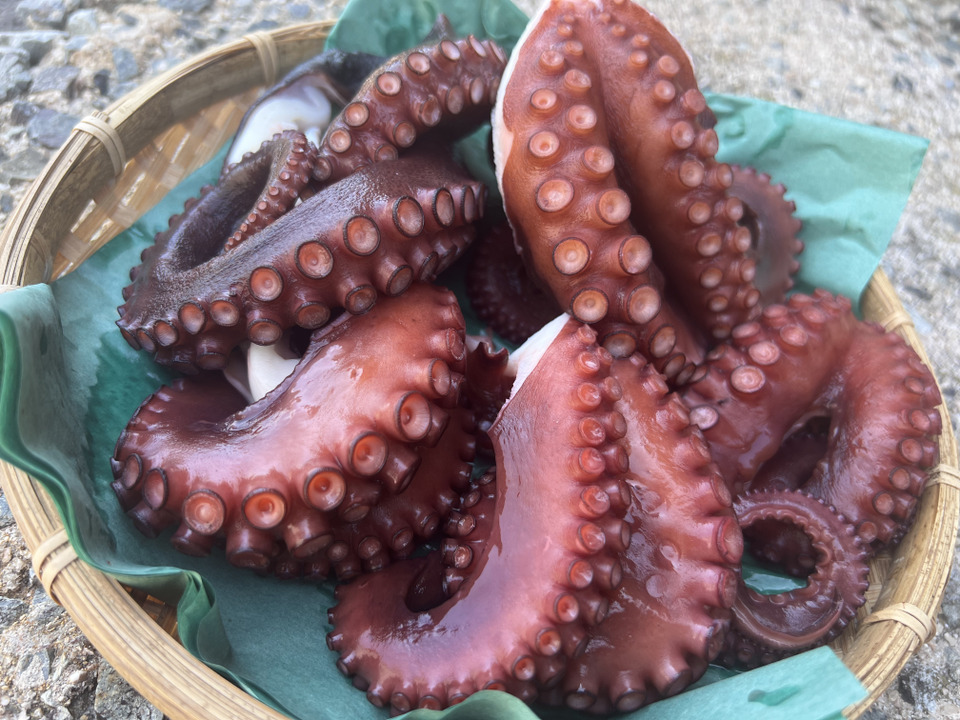 プリップリ触感！島根県産「ボイル真だこ」500g（小分けパック）：島根県産のマダコ｜食べチョク｜産地直送(産直)お取り寄せ通販 - 農家・漁師 ...