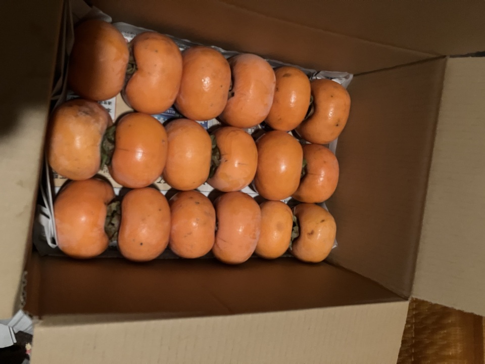 希少！自然栽培干し柿用渋柿3kg （15〜20個前後予定）：山形県産の刀根早生柿｜食べチョク｜産地直送(産直)お取り寄せ通販 - 農家・漁師から旬の食材を直送