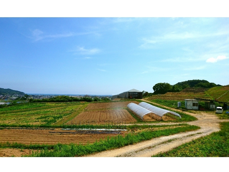 《大容量5袋セット！煮出し専用》有機JAS認証取得済★1包5gx30日分★酵素が生きてるうまぶどう茶★野ぶどう茶：香川県産のお茶｜食べチョク｜産地直送(産直)お取り寄せ通販 - 農家・漁師から ...