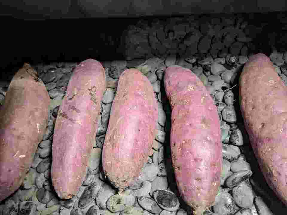 【甘さ際立つ干し芋!晴れの国 岡山 人気no1 熟成紅はるか】濃厚蜜甘い、ほんのり石焼き芋いい香りがする 石焼き干し芋 紅はるか100g×5袋グループ買いで! 賞味期限:常温35日 冷凍