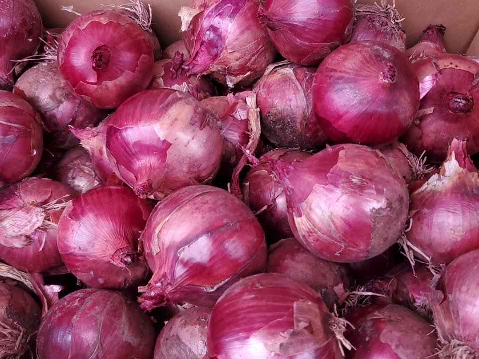 サラダなどの彩りに紫玉ねぎ 5kg(2S～Mサイズ）：北海道産のその他玉ねぎ｜食べチョク｜産地直送(産直)お取り寄せ通販 - 農家・漁師から旬の食材を直送