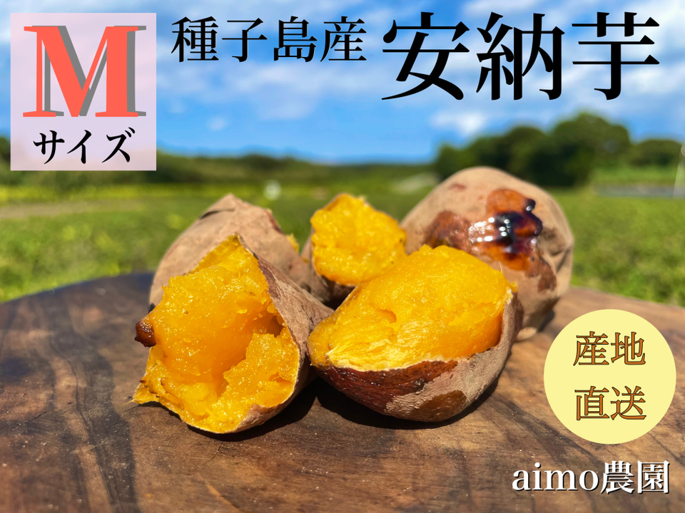 【絶品】種子島産 安納芋 Mサイズ 5kg(箱別)｜aimo農園：鹿児島県産の安納紅｜食べチョク｜産地直送(産直)お取り寄せ通販 - 農家・漁師から旬の食材を直送