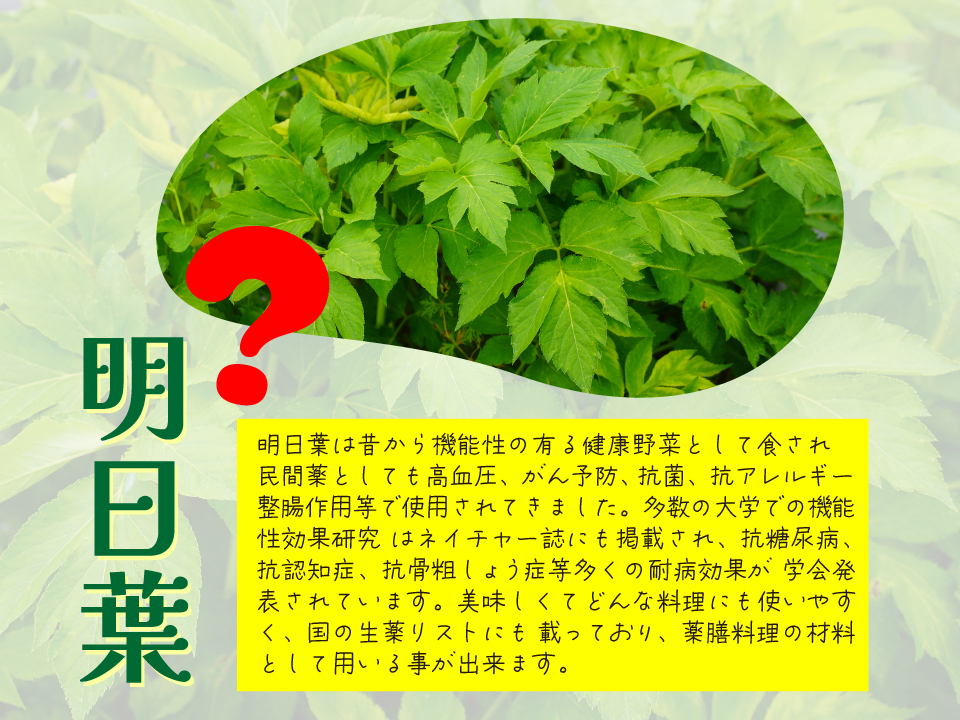 【新商品】あしたば茶／2g×10 ティーバッグ 日本古来の生薬 明日葉茶 健康茶 松田製茶 日本茶インストラクター監修 TBG-042：茨城県産の加工品｜食べチョク｜産地直送(産直)お取り寄せ ...