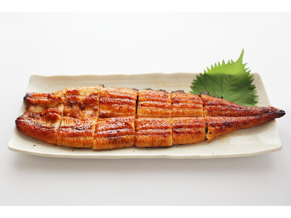 【2025年度新仔！】丸和うなぎ白焼き(特大サイズ) X 2尾 ※1尾 185g【冬ギフト】：愛知県産のウナギ｜食べチョク｜産地直送(産直)お取り寄せ通販 - 農家・漁師から旬の食材を直送