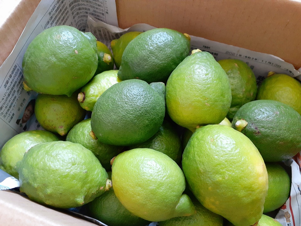 防腐剤、ワックス不使用 皮ごと使用激安広島県産レモン 訳あり品 2kg(約20個入)：広島県産のみかん・柑橘類｜食べチョク｜産地直送(産直)お ...