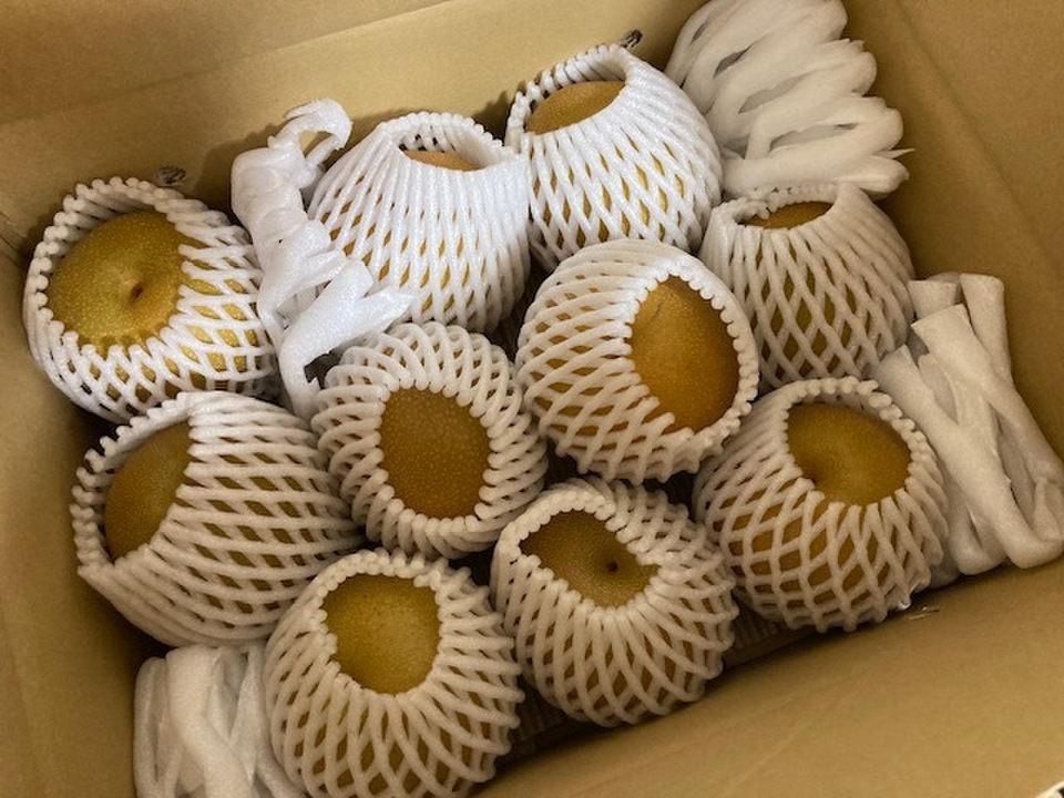 豊水 3kg 2Lサイズ(10玉入)：千葉県産の豊水｜食べチョク｜産地直送(産直)お取り寄せ通販 - 農家・漁師から旬の食材を直送