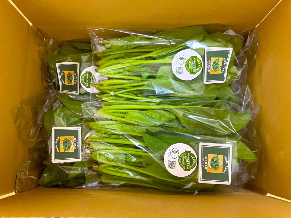 【有機JAS認証】ほうれん草 900g(150g×6パック)：佐賀県産のその他ほうれん草｜食べチョク｜産地直送(産直)お取り寄せ通販 - 農家・漁師から旬の食材を直送